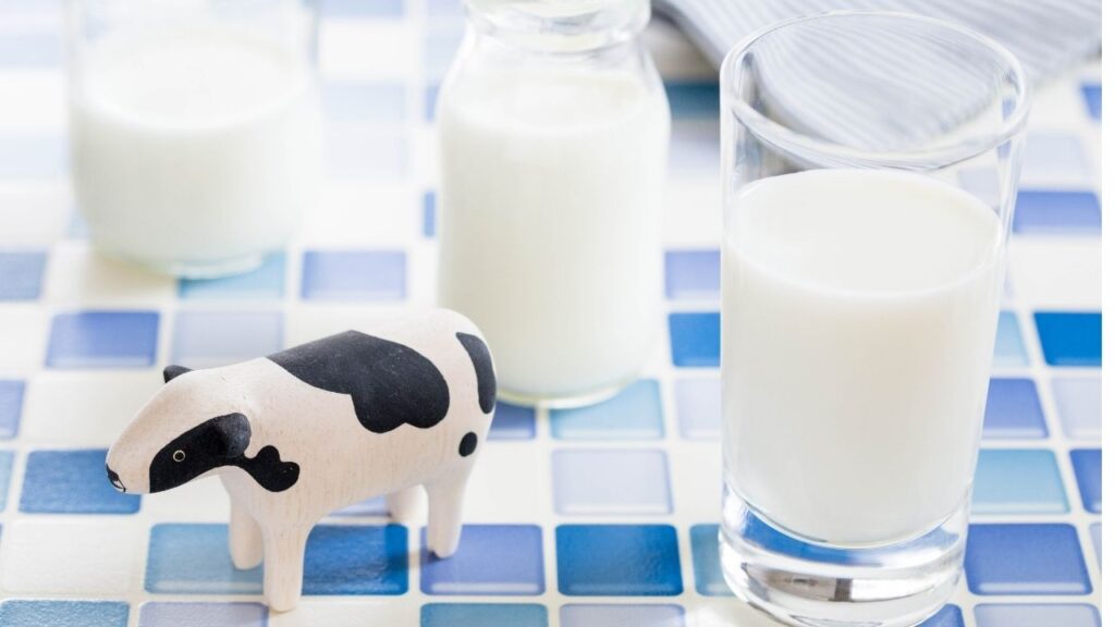 牛乳の飲みすぎで貧血に!? 「牛乳貧血」の原因と対策をわかりやすく解説 |日本貧血改善協会